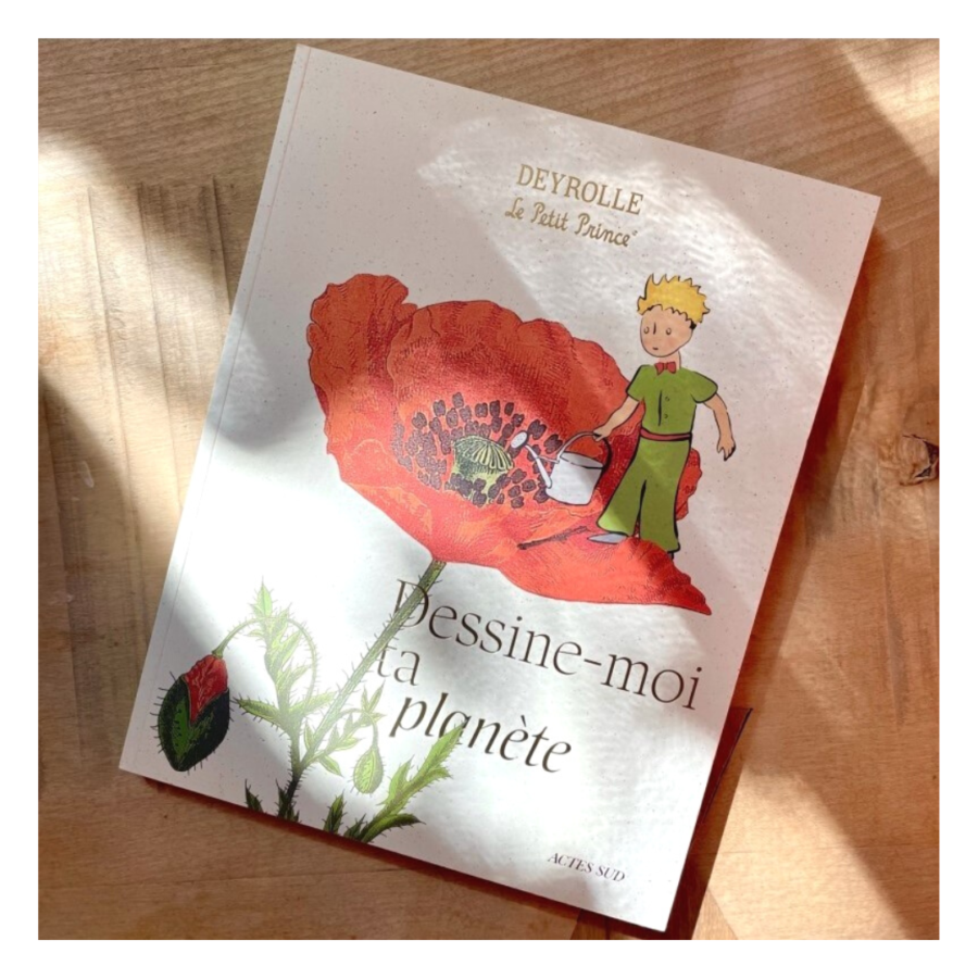The book « Dessine-moi ta planète » by Deyrolle is available! – The ...